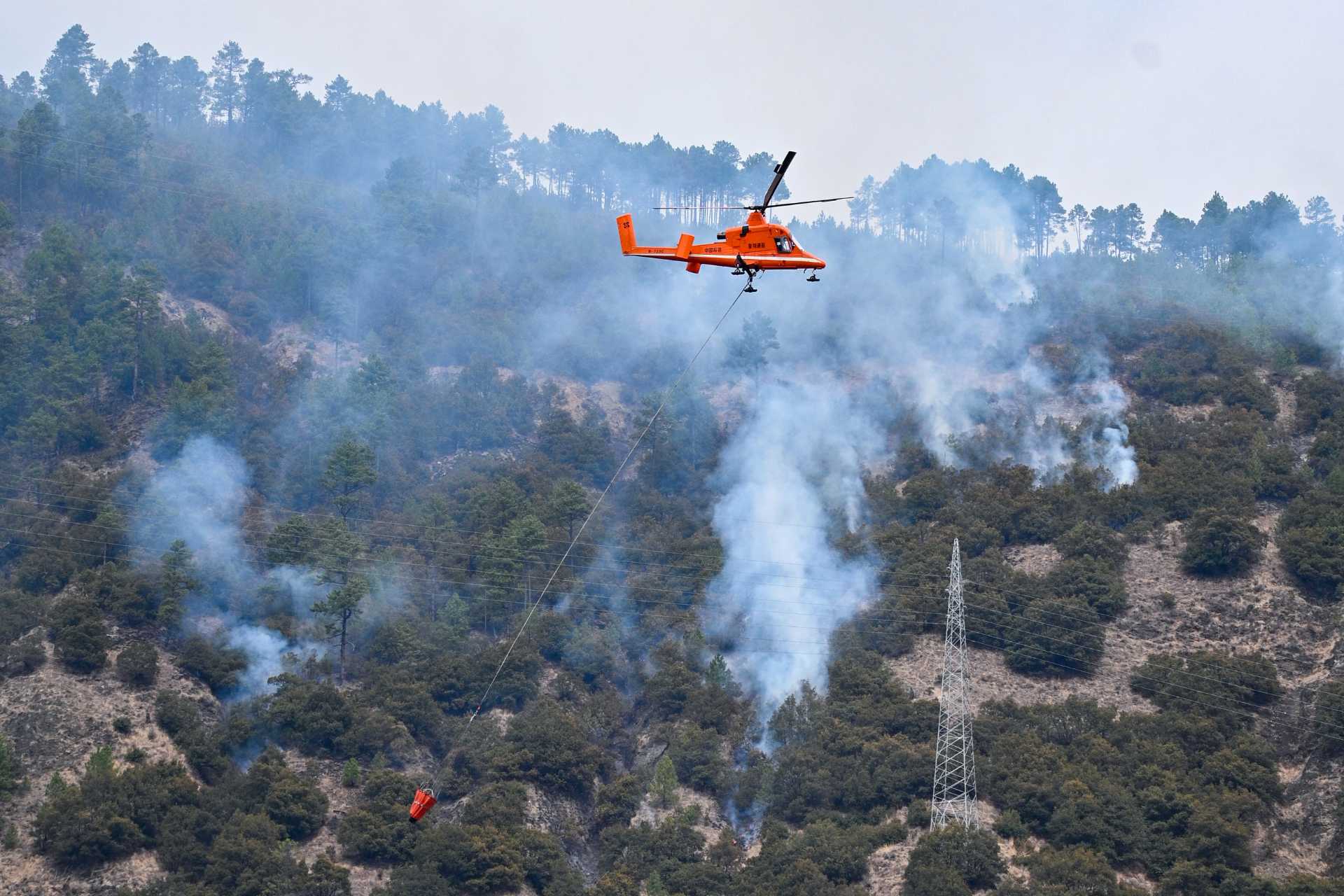 Startup Dryad raises $6.1 million for ultra-early wildfire detection