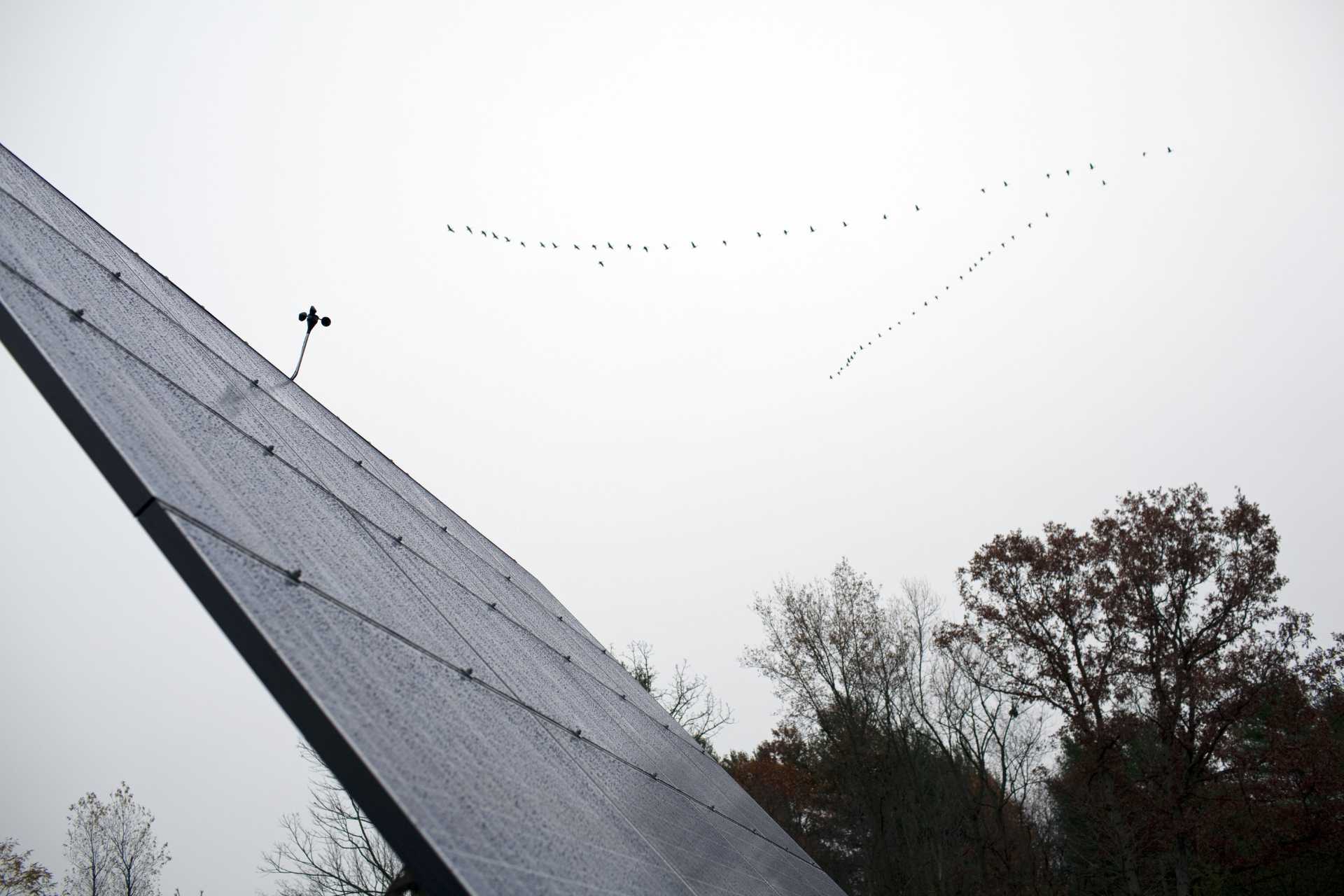 How Albuquerque secured Array's new solar factory