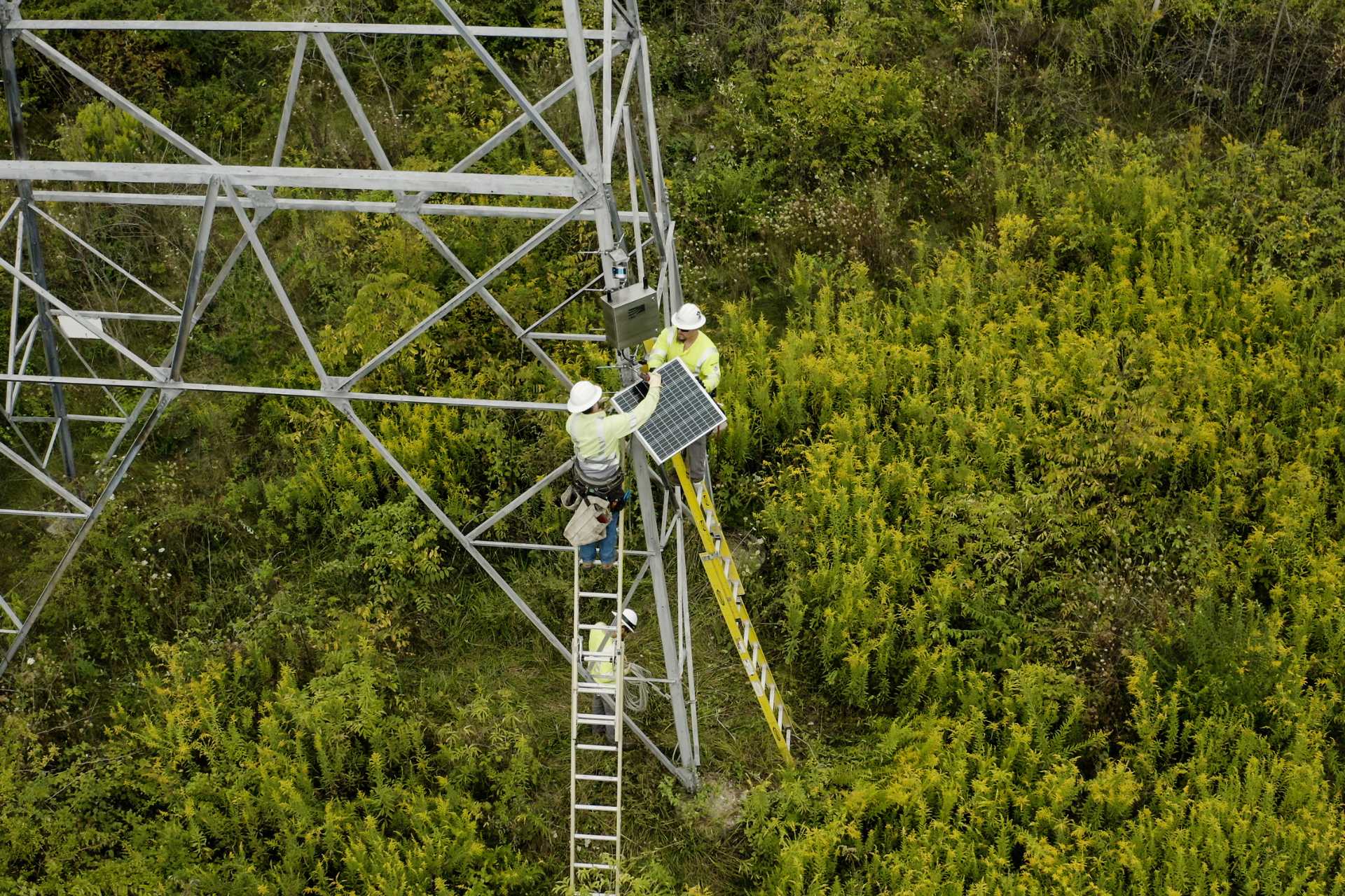 The making of the country’s largest dynamic line rating deployment