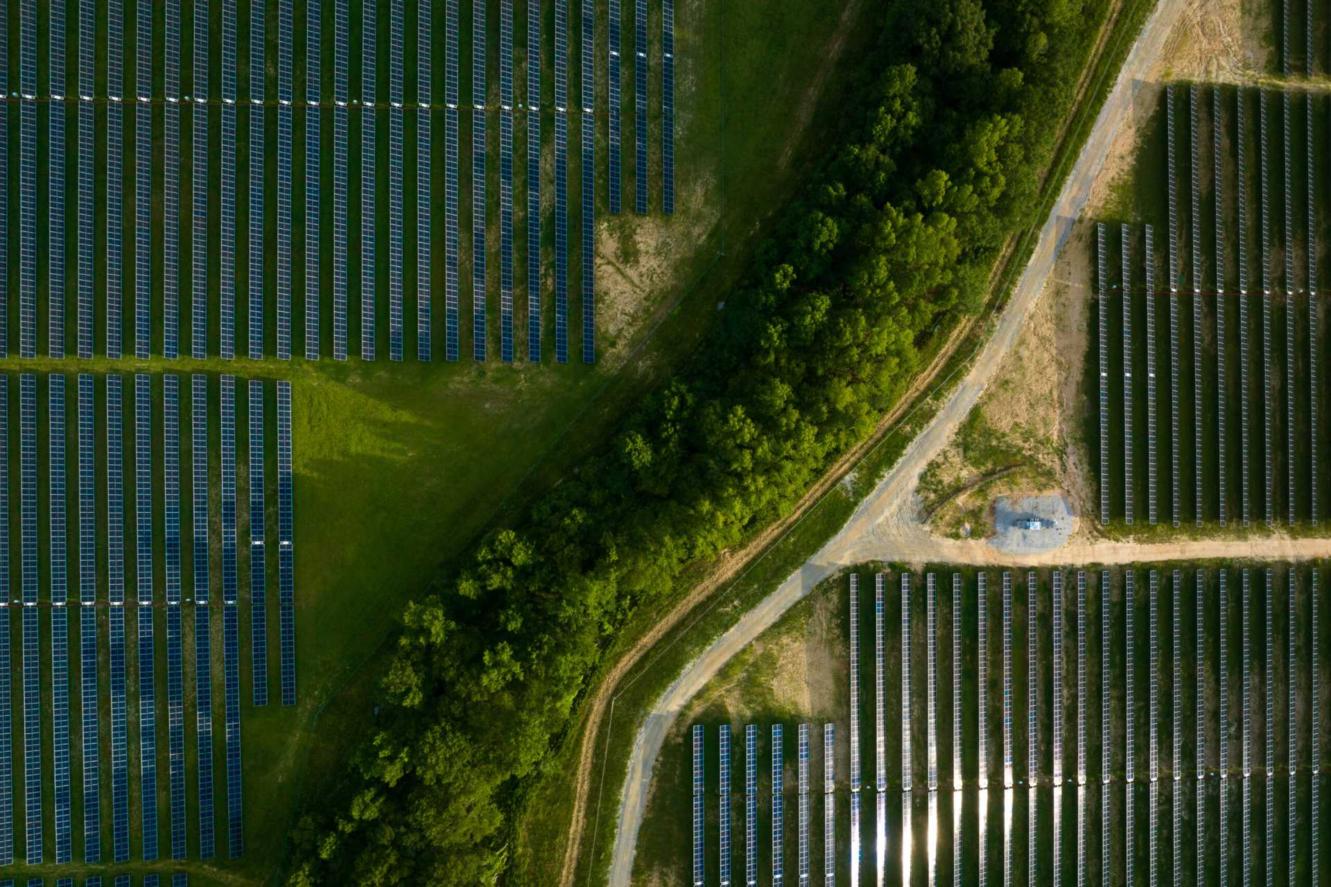 What happened to Pine Gate Renewables? | Latitude Media